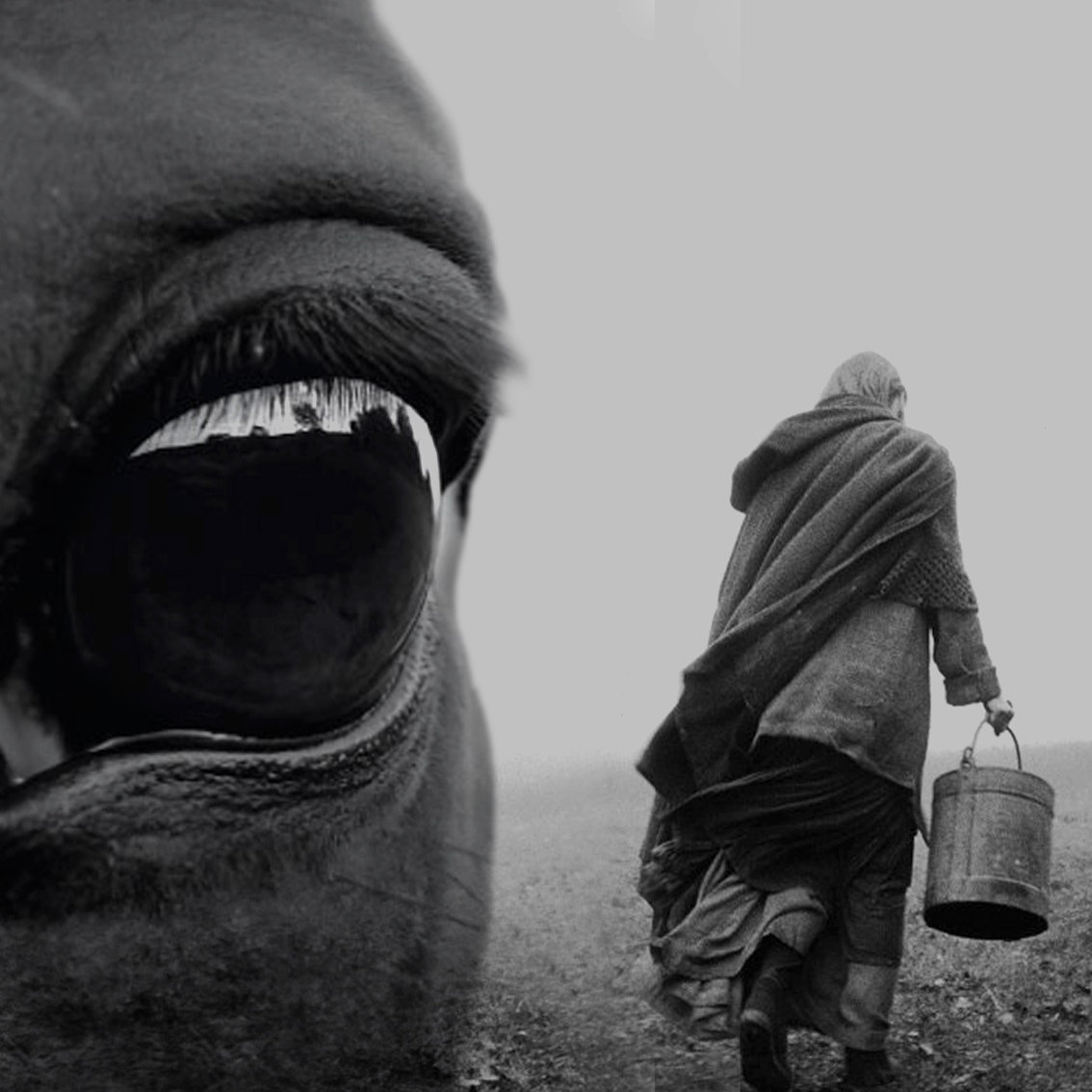 Béla Tarr / El caballo de Turín | Tito Molina